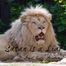 How to Set your Heart Free from a Prison of Over Abundance