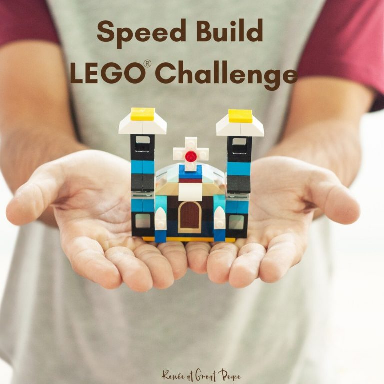 LEGO Challenges for Families or Groups | Renee at Great Peace