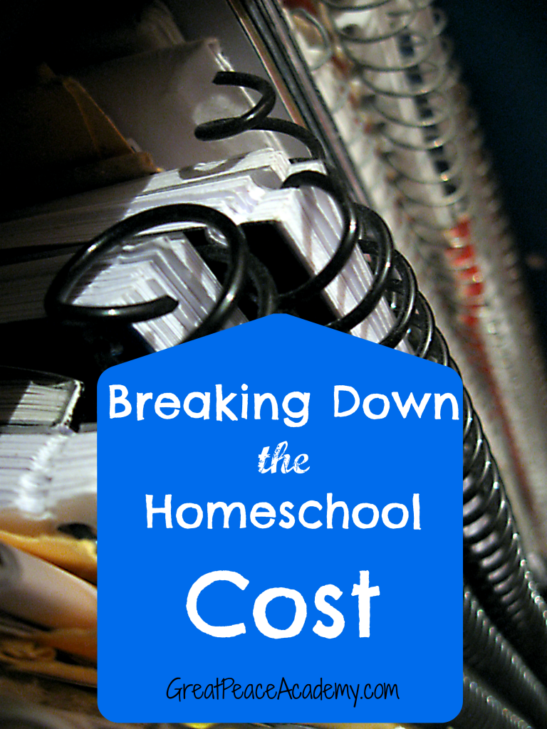 Counting The Homeschool Cost Counting The Homeschool Cost