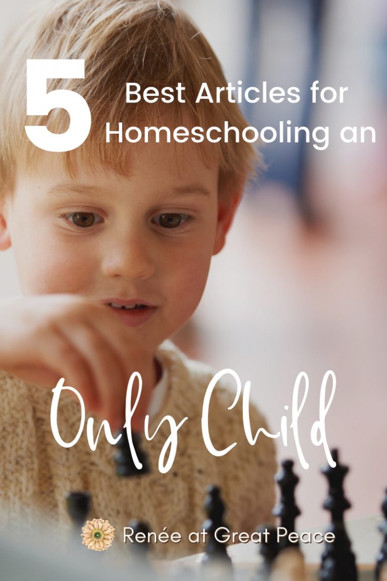5 Best Articles for Homeschooling an Only Child | Great Peace Living