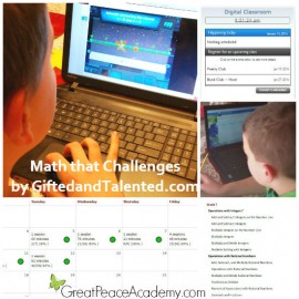 Finally an Online Course that Challenges a Math Mind