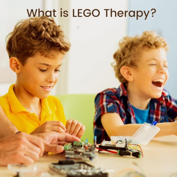 Online Resources f LEGO Therapy | Great Peace Living