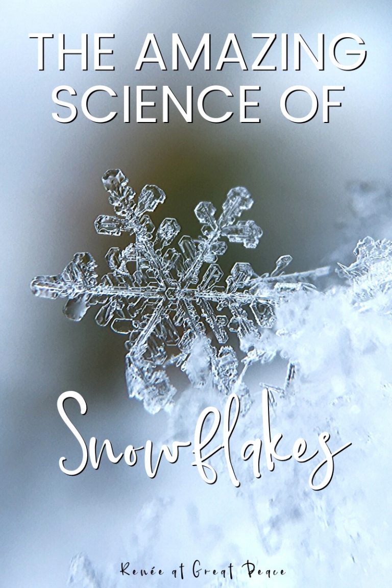 The Science of Snowflakes Unit Study | Great Peace Living