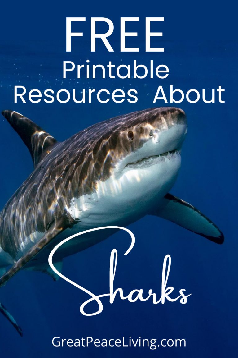Free Printables to Learn about Sharks | Great Peace Living